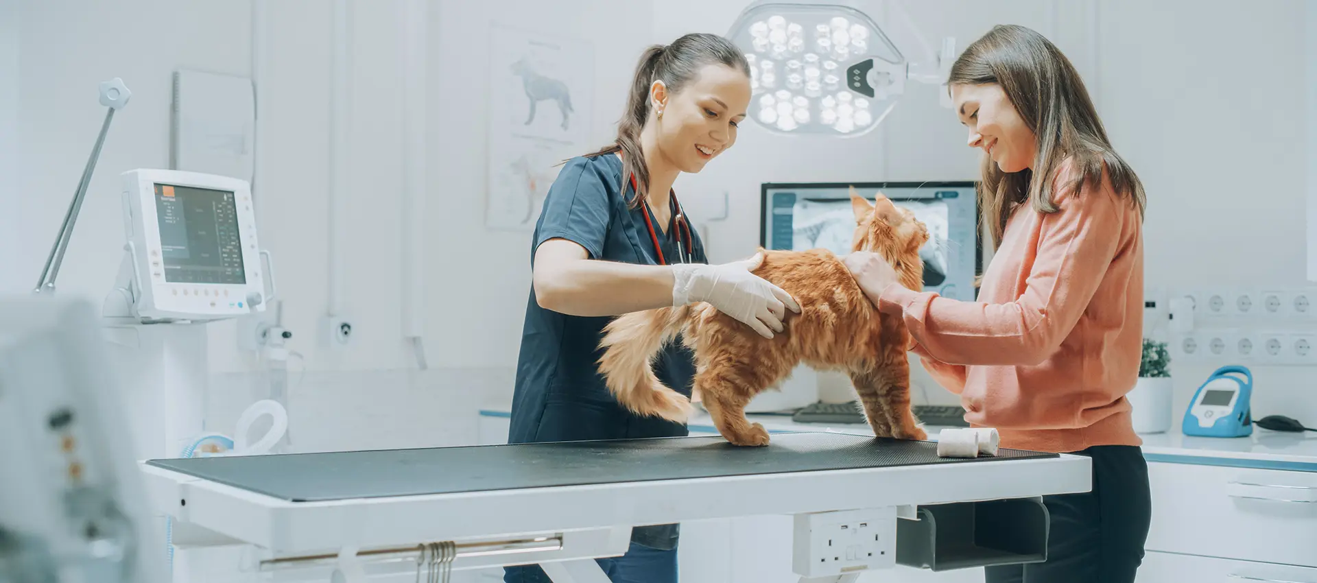 Fast & Secure Veterinary Courier Services | MPC Couriers